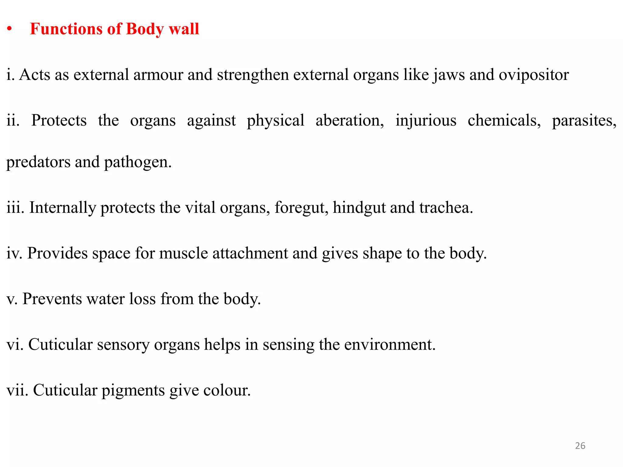 Insect body wall its structure, function and Molting | PPTX