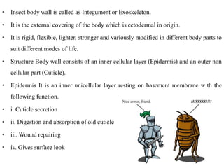 Insect body wall its structure, function and Molting | PPTX