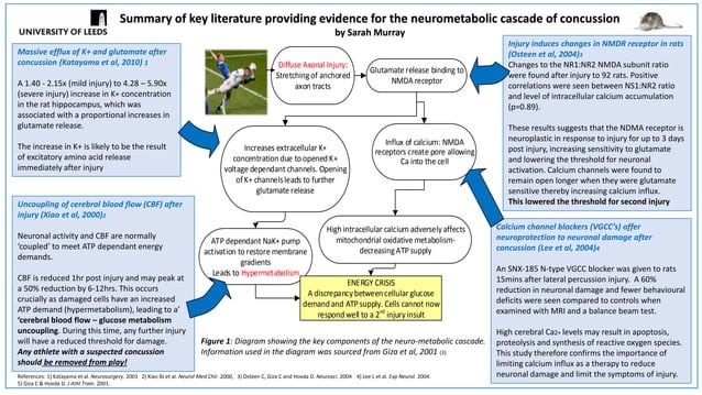 BASEM-Poster-presentation Concussion | PPTX | Death, Injury, or ...