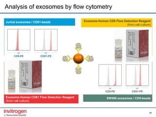 Webinar_Exosome Isolation and Monitoring- from cell culture to ...