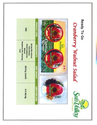 presentation sun valley | PDF