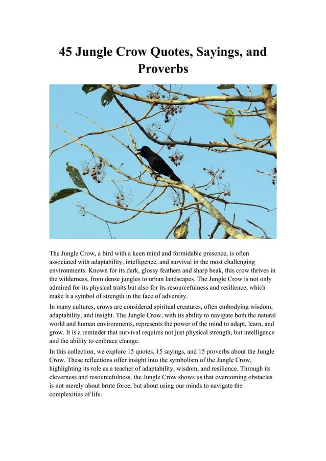 45 Jungle Crow Quotes, Sayings, and Proverbs.docx
