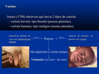 sistema imunologico | PPT