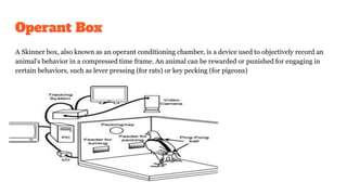 45#Skinner’s Behaviourist Theory.pptx
