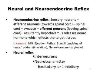 4 & 5 ther 608 hormones & reproduction | PPT
