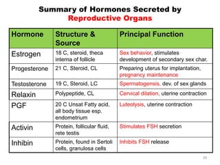 4 & 5 ther 608 hormones & reproduction | PPT