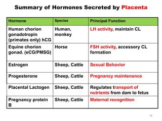 4 & 5 ther 608 hormones & reproduction | PPT