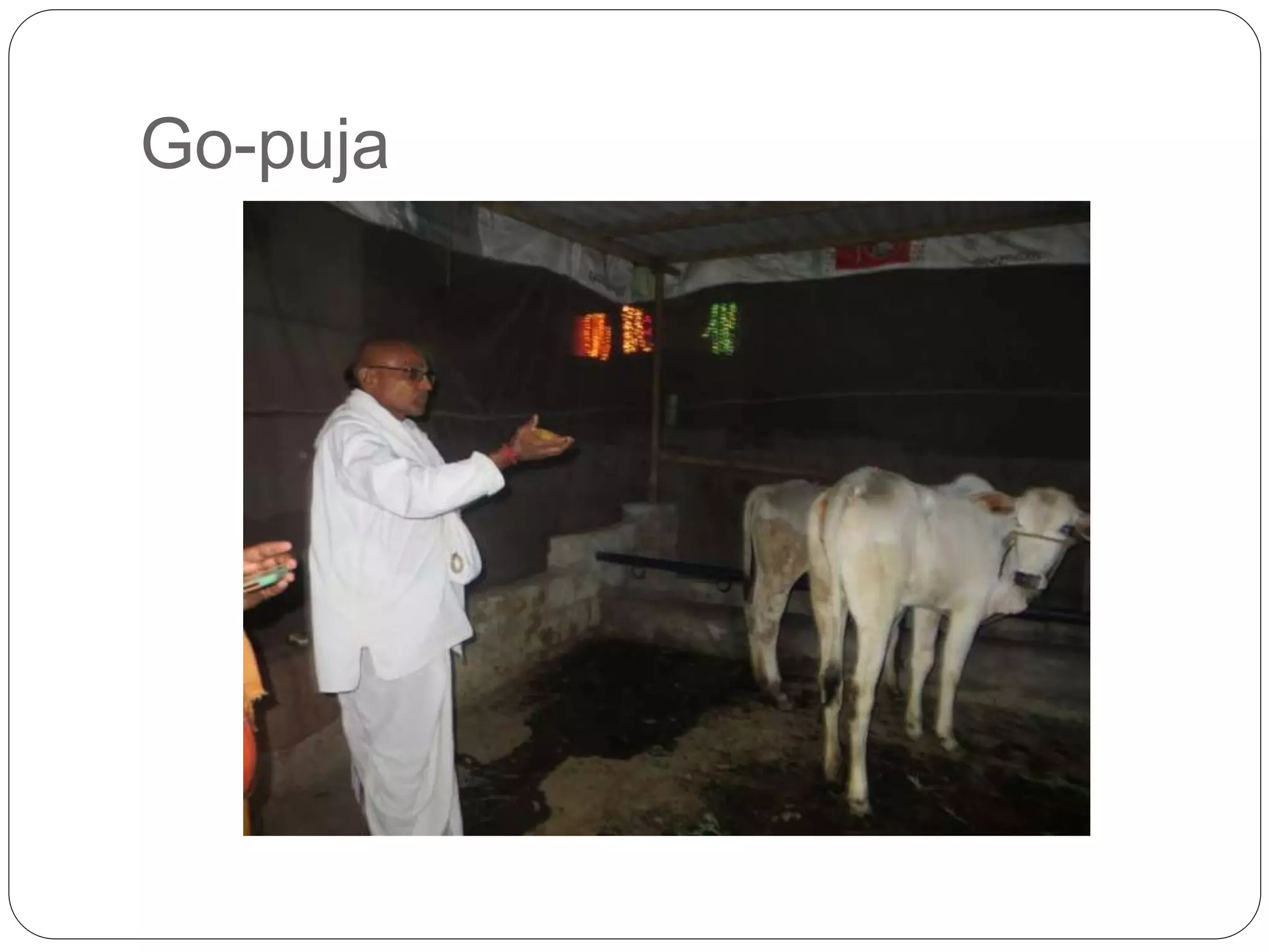 Never-say-die Spirit of Yatra Devotees in Kothapeta Village: 45th DAY ...