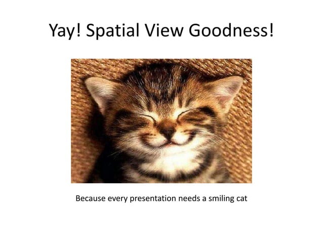 Making Use of Query Layers & Spatial Views | PPT