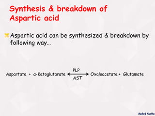 Metabolism of Acidic Amino Acids (Glutamic Acid, Glutamine, Aspartic ...