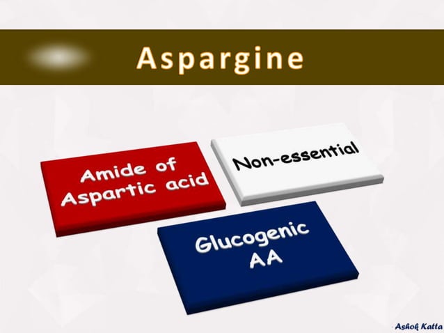 Metabolism of Acidic Amino Acids (Glutamic Acid, Glutamine, Aspartic ...