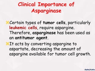 Metabolism of Acidic Amino Acids (Glutamic Acid, Glutamine, Aspartic ...
