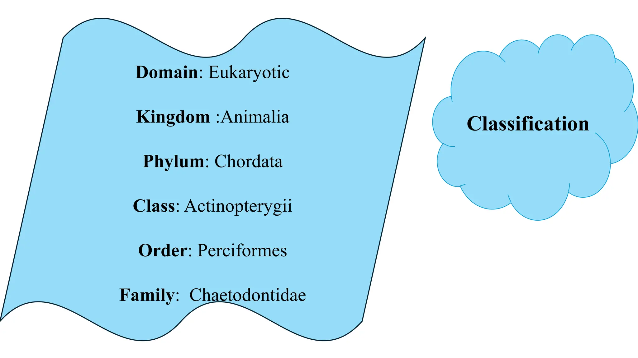 Introduction to Butterfly Fish and its meristic characters | PPTX
