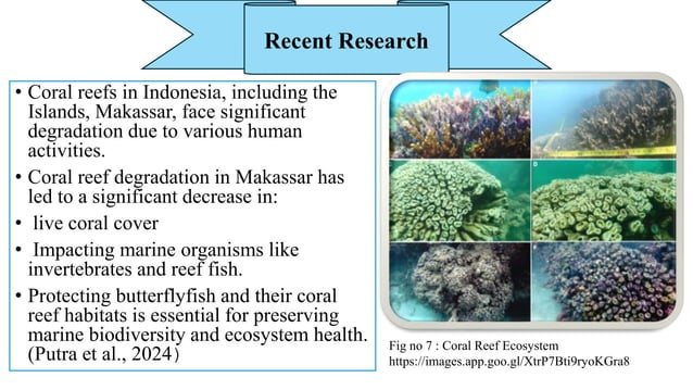 Introduction to Butterfly Fish and its meristic characters | PPTX
