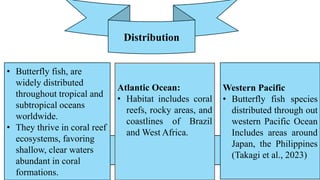 Introduction to Butterfly Fish and its meristic characters | PPTX