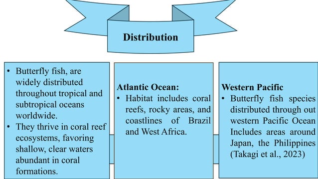 Introduction to Butterfly Fish and its meristic characters | PPTX