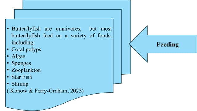 Introduction to Butterfly Fish and its meristic characters | PPTX