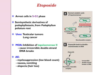 46. Cancer chemotherapy_ lecture notes⭐️.pdf