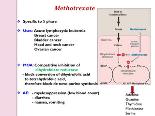 46. Cancer chemotherapy_ lecture notes⭐️.pdf