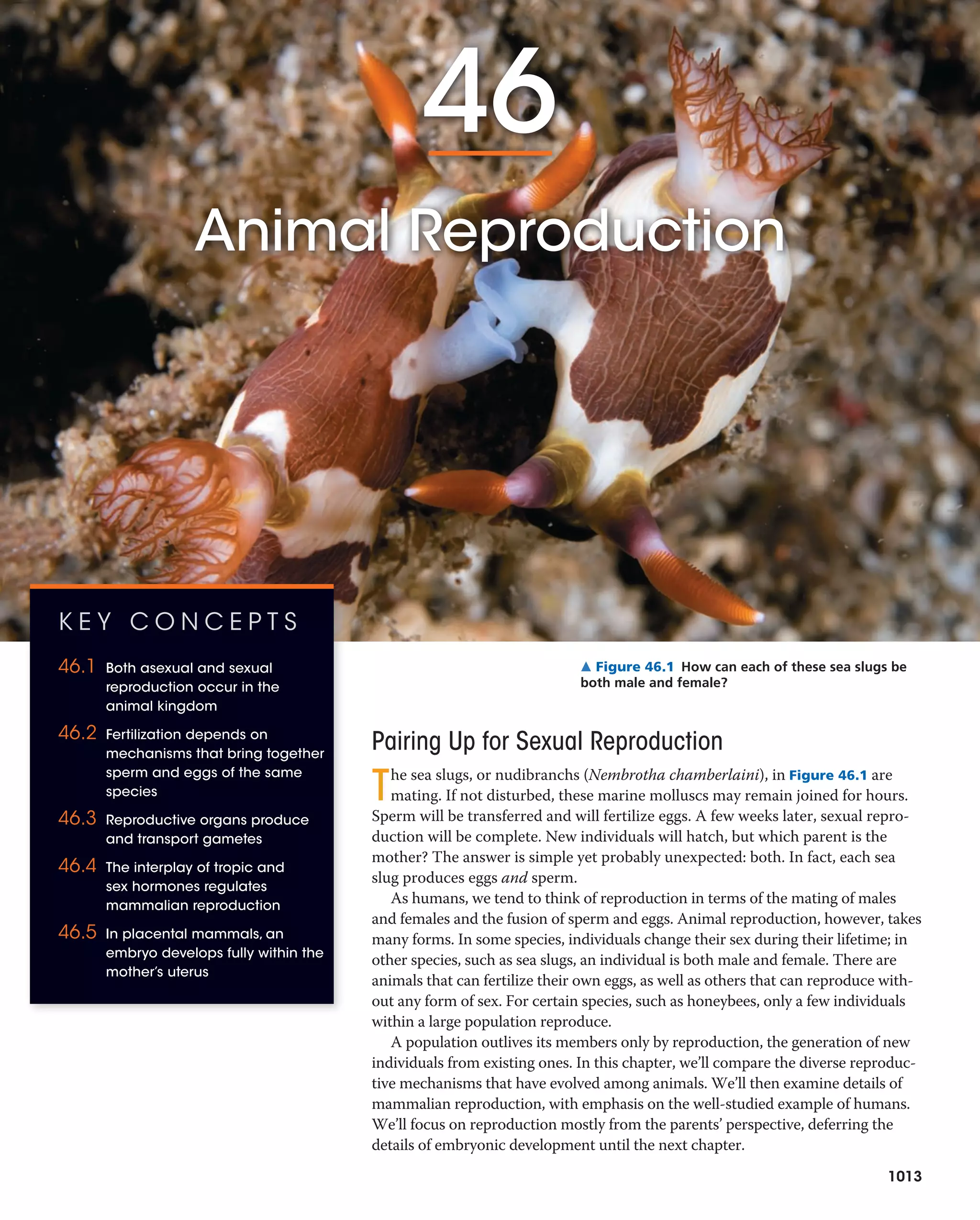 46 animal reproduction | PDF
