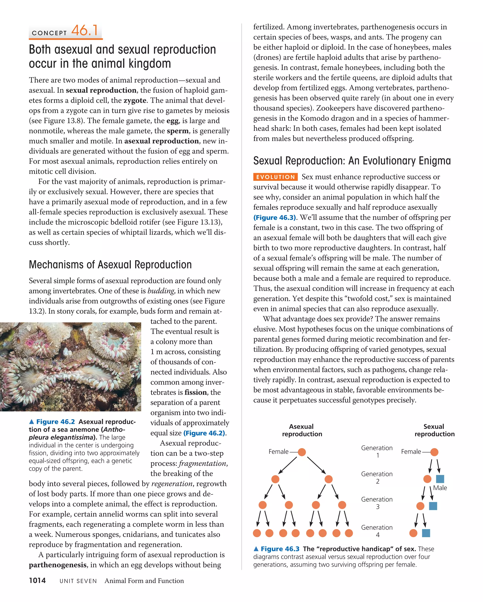 46 animal reproduction | PDF
