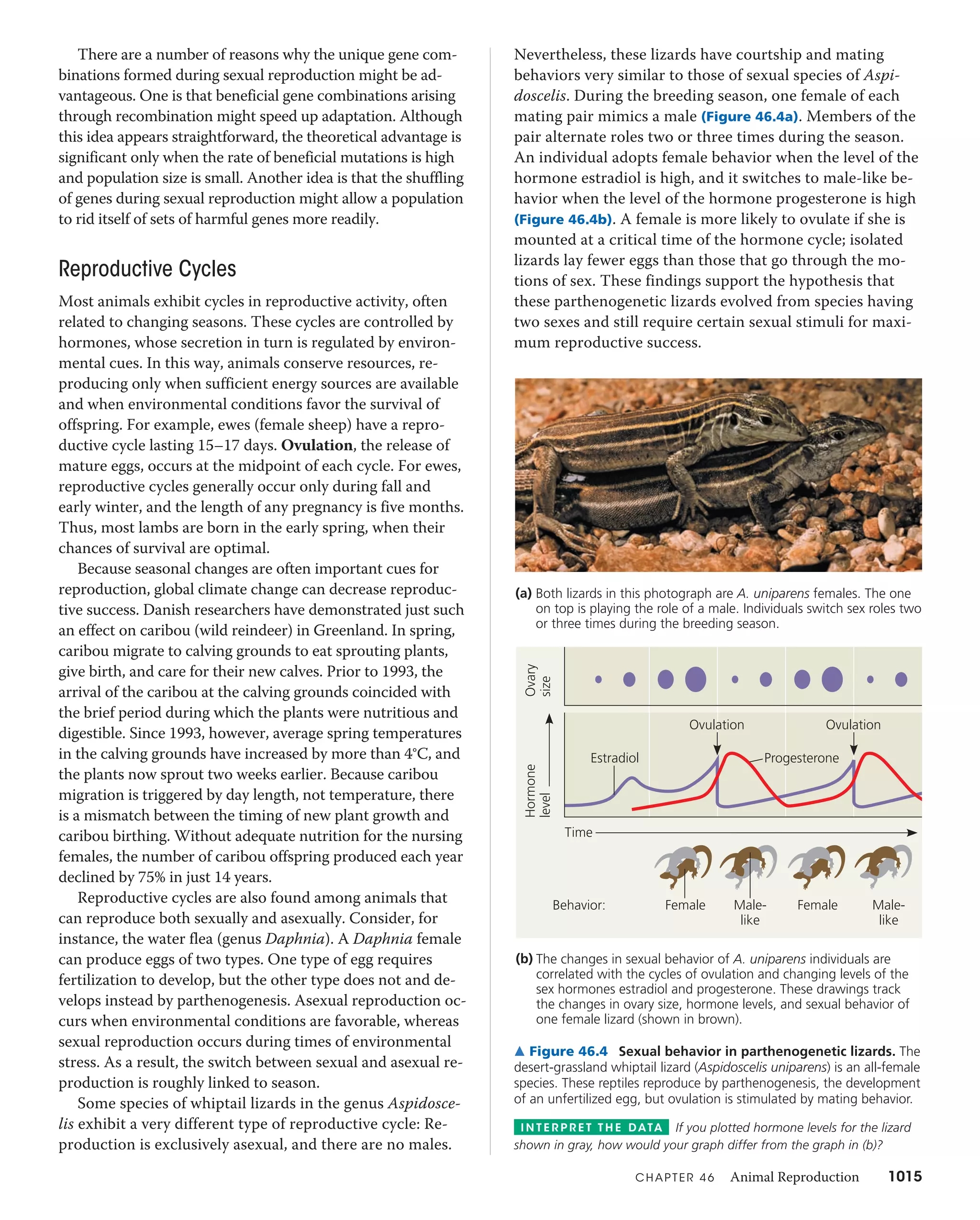 46 animal reproduction | PDF