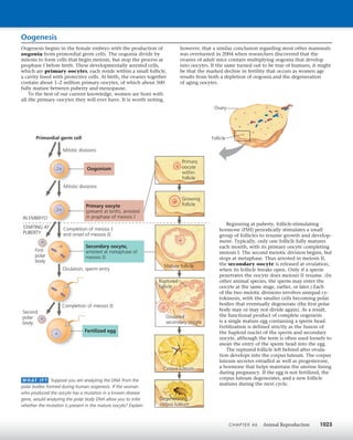 46 animal reproduction | PDF
