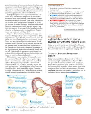 46 animal reproduction | PDF