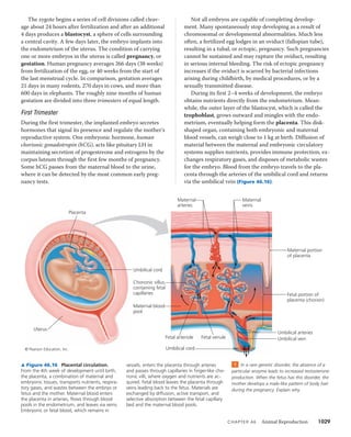 46 animal reproduction | PDF