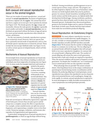 46 animal reproduction | PDF