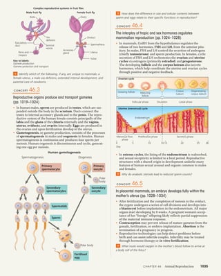 46 animal reproduction | PDF
