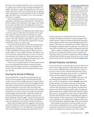 46 animal reproduction | PDF