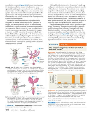 46 animal reproduction | PDF