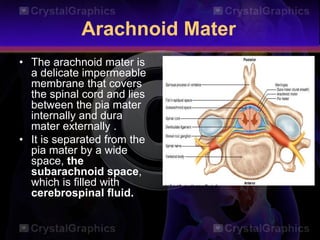 4_6001158121081278208.pdf