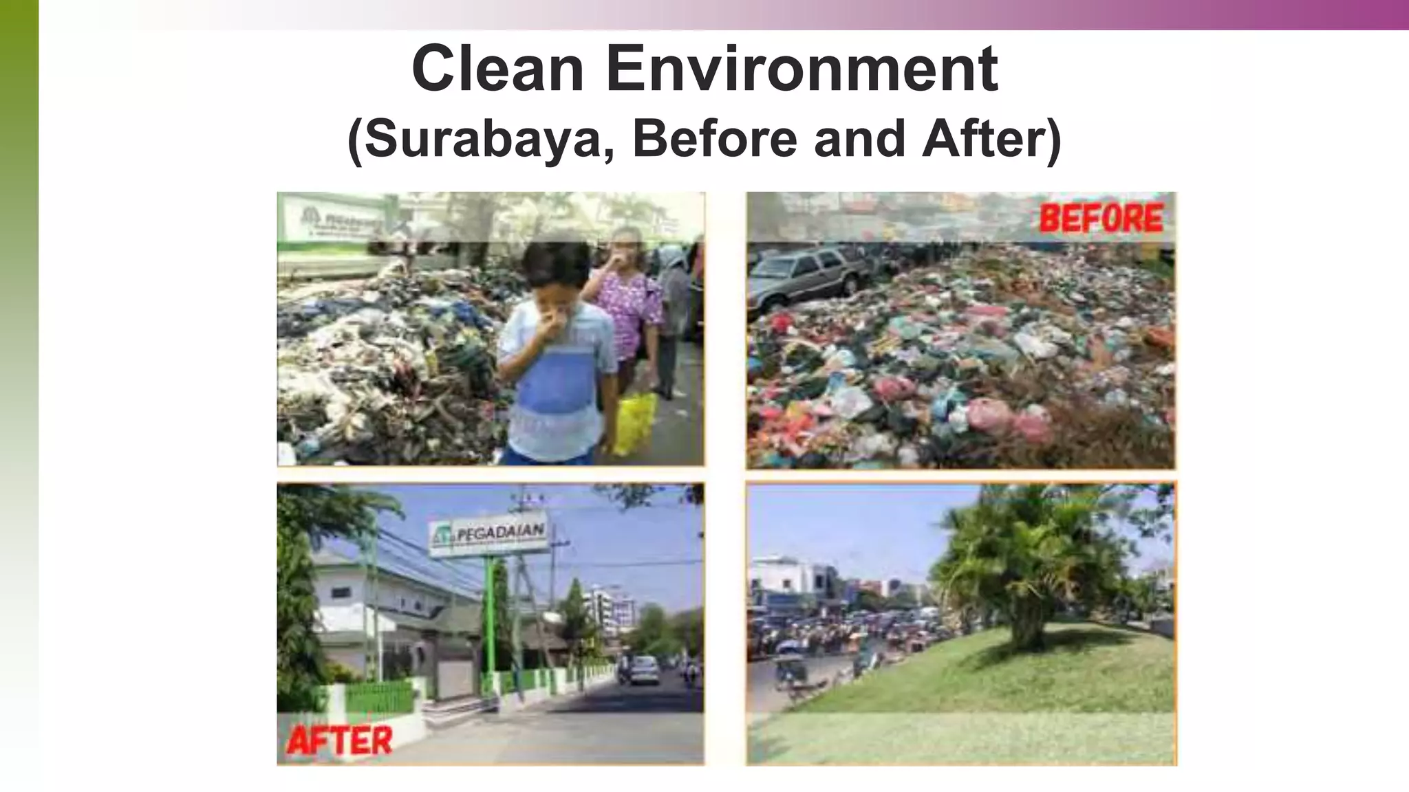 Sustainable Rural waste management- cases and lesson.pptx