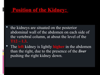 4_6042006154874193279المحاضره السابعه.pptx