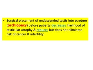 testis pathology | PPT