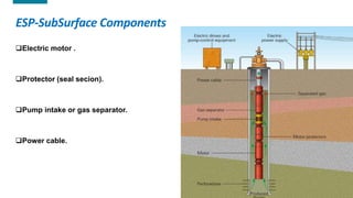 4_6046166822837816418.pptx