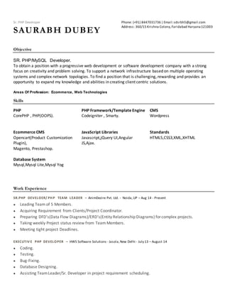 Saurabh_Dubey | DOCX | Web Development | Internet