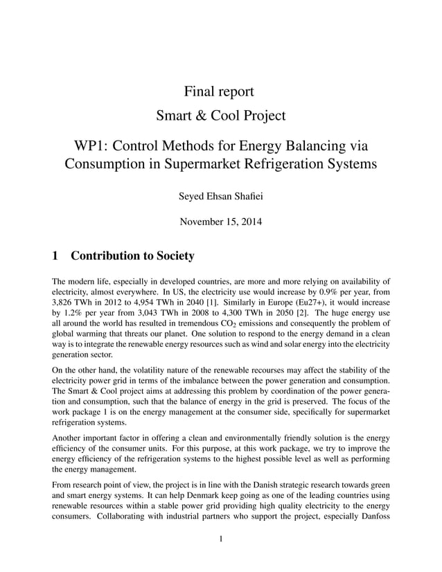 Ehsan_final_report | PDF