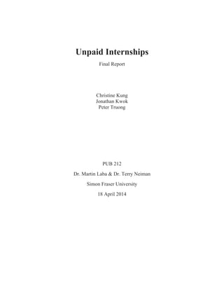 PUB 212 - Final Report | PDF