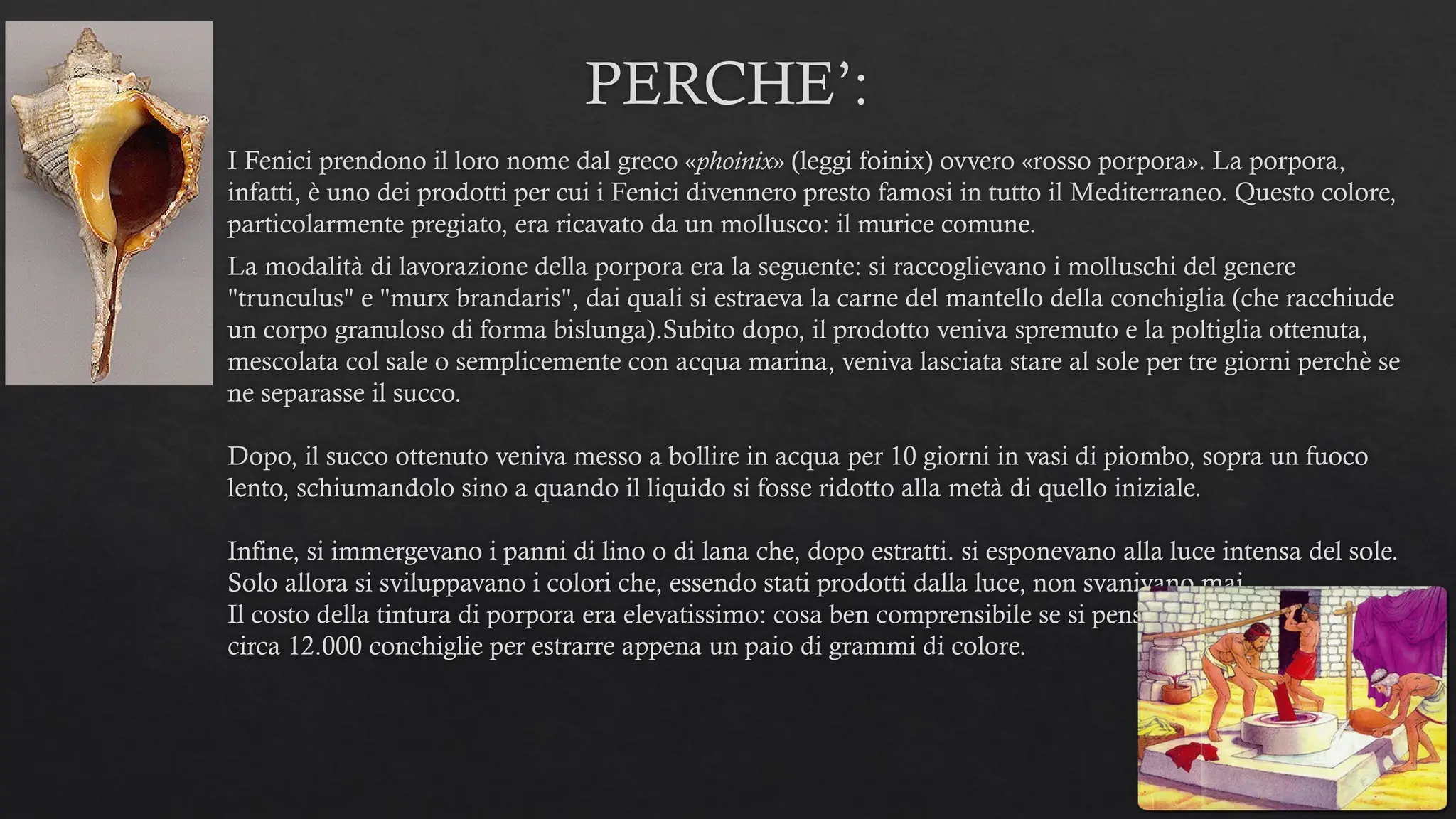 I Fenici e le rotte del Mediterraneo antico.pptx