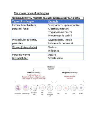 461-137 IMMUNOLOGY (ZOOLOGY).docx
