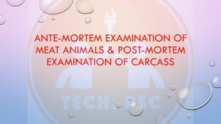 Antemortem examination of meat animals and post mortem examination of ...