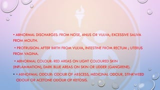 Antemortem examination of meat animals and post mortem examination of ...