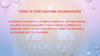 Antemortem examination of meat animals and post mortem examination of carcass | PDF
