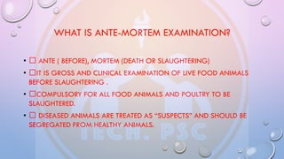 Antemortem examination of meat animals and post mortem examination of carcass | PDF