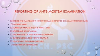 Antemortem examination of meat animals and post mortem examination of carcass | PDF