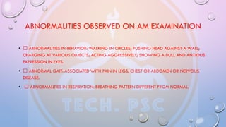 Antemortem examination of meat animals and post mortem examination of ...