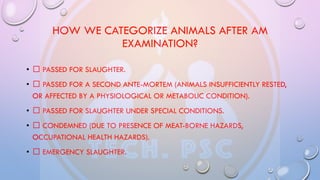 Andy mortame and postmortem inspection for food safety | PPT